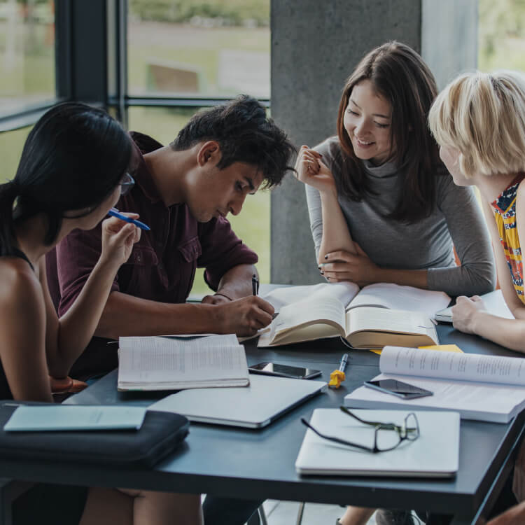 La LinguaLanguage School | Sydney Australia