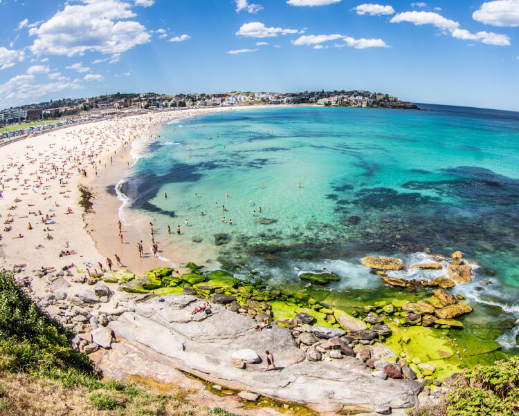 La LinguaLanguage School | Sydney Australia